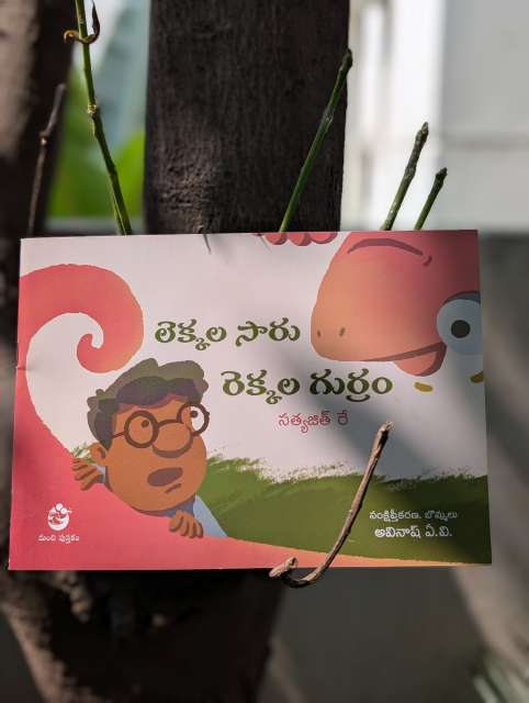 Lekkala Saaru, Rekkala Gurram లెక్కల సారు, రెక్కల గుర్రం - Manchi Pustakam
